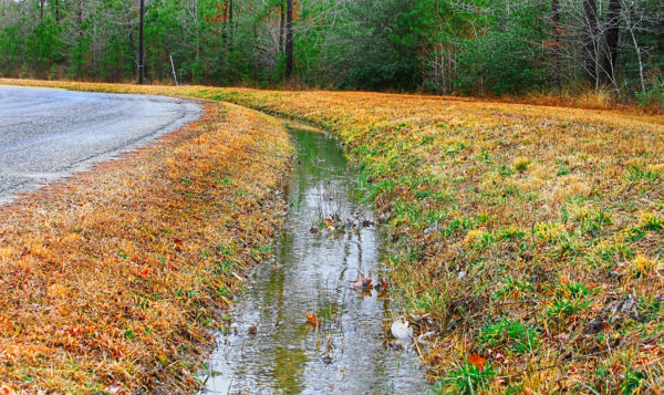 Drainage Swale - The Land Development Site